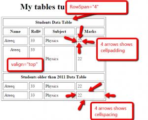 What the difference between cellpadding and cellspacing?