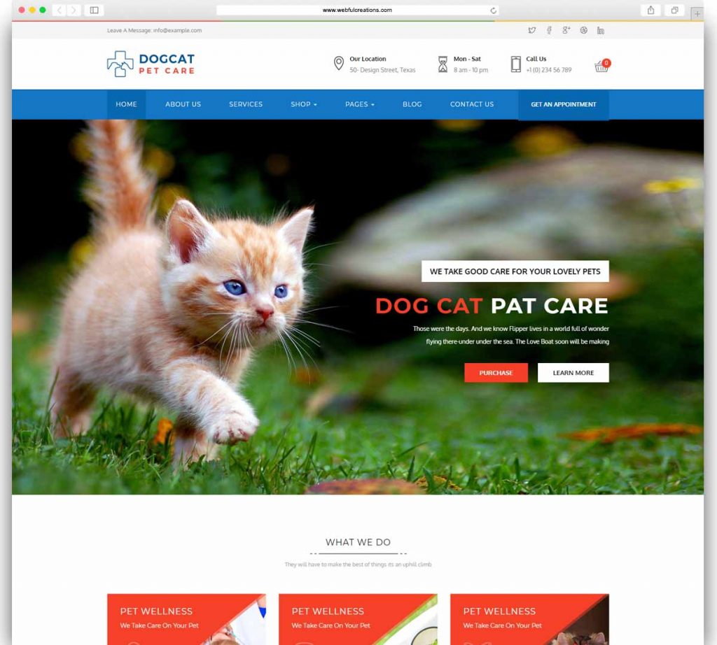 Best Veterinary WordPress Themes – Webful Creations
