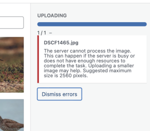 How to fix server cannot process the image error in WordPress - Webful Creations Vision