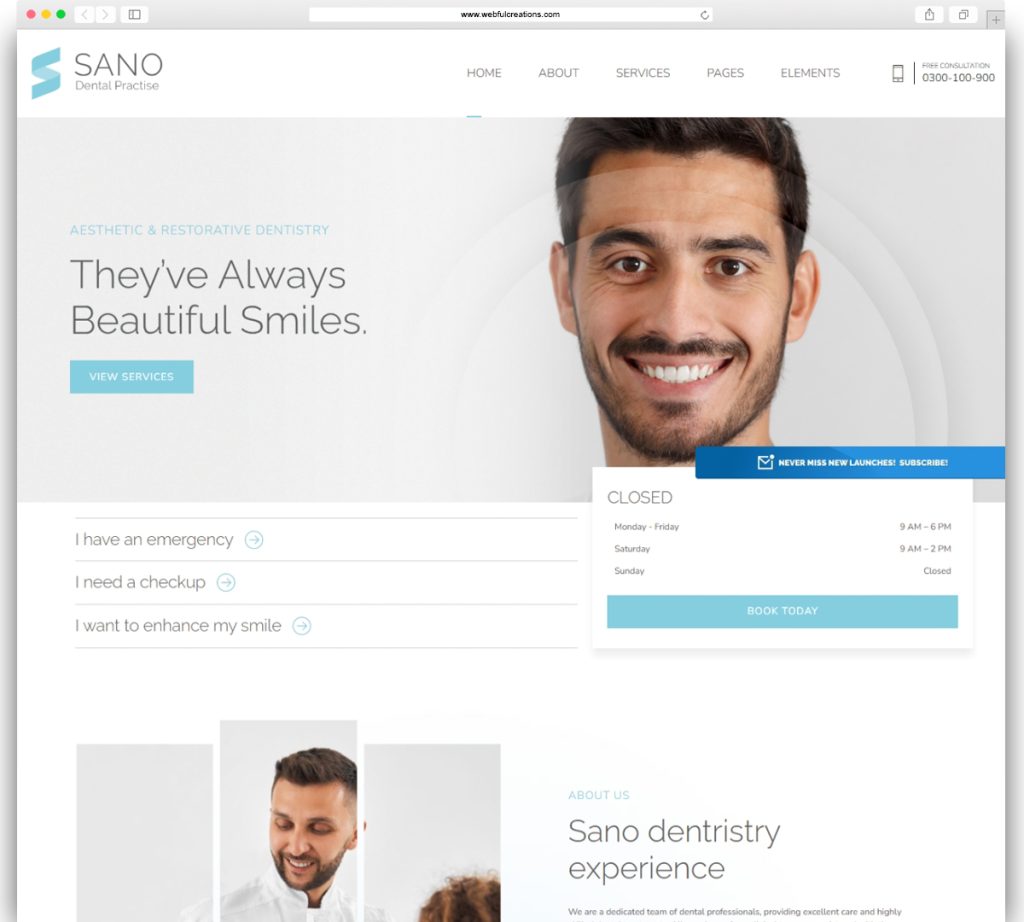 19+ Best Dentist WordPress Themes – Webful Creations Vision